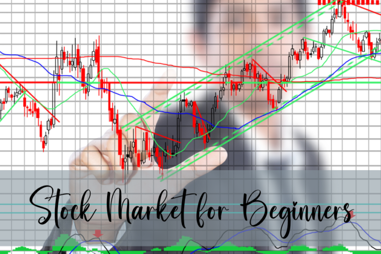 Master the Basics: Stock Market for Beginners - Bunnies and Monies