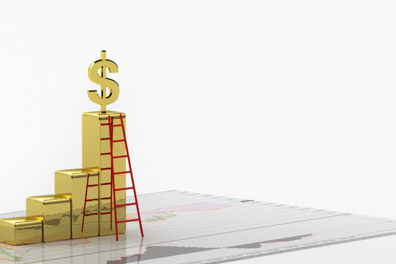 Understanding the Importance of a Budget - Bunnies and Monies